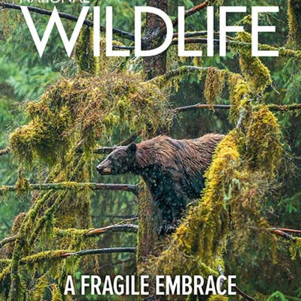 National Wildlife Magazine Subscriber Services