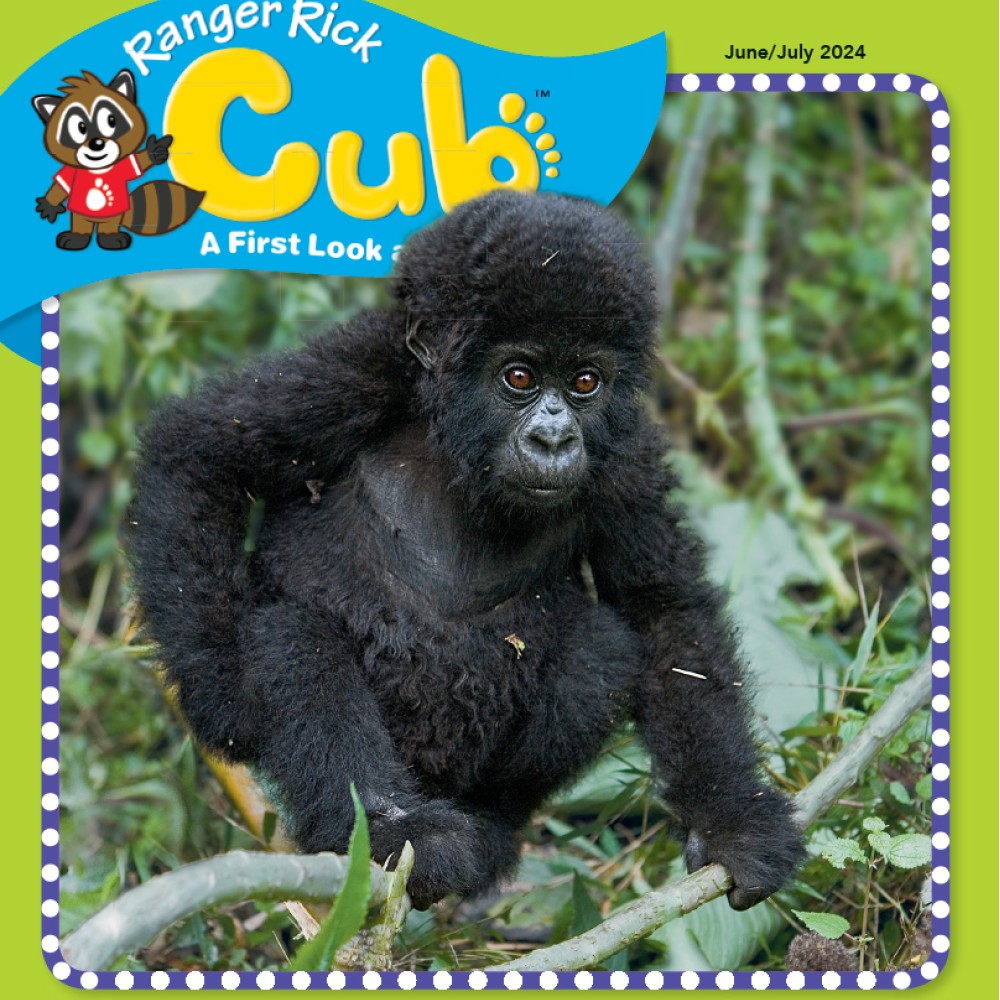 Ranger Rick Cub Magazine Subscriber Services