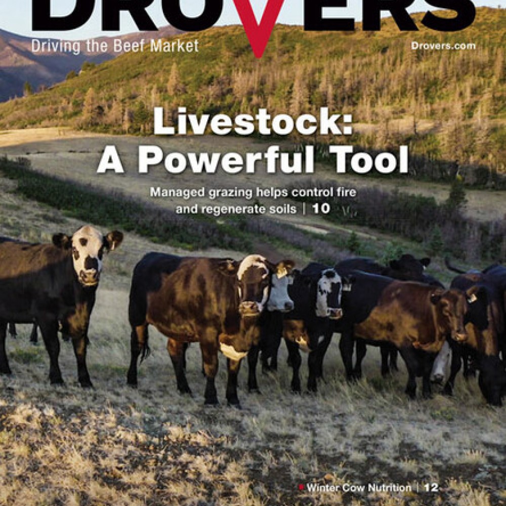 Drovers Cattle Network Magazine Subscriber Services