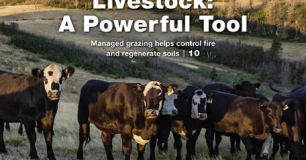 Drovers Cattle Network Magazine Subscriber Services