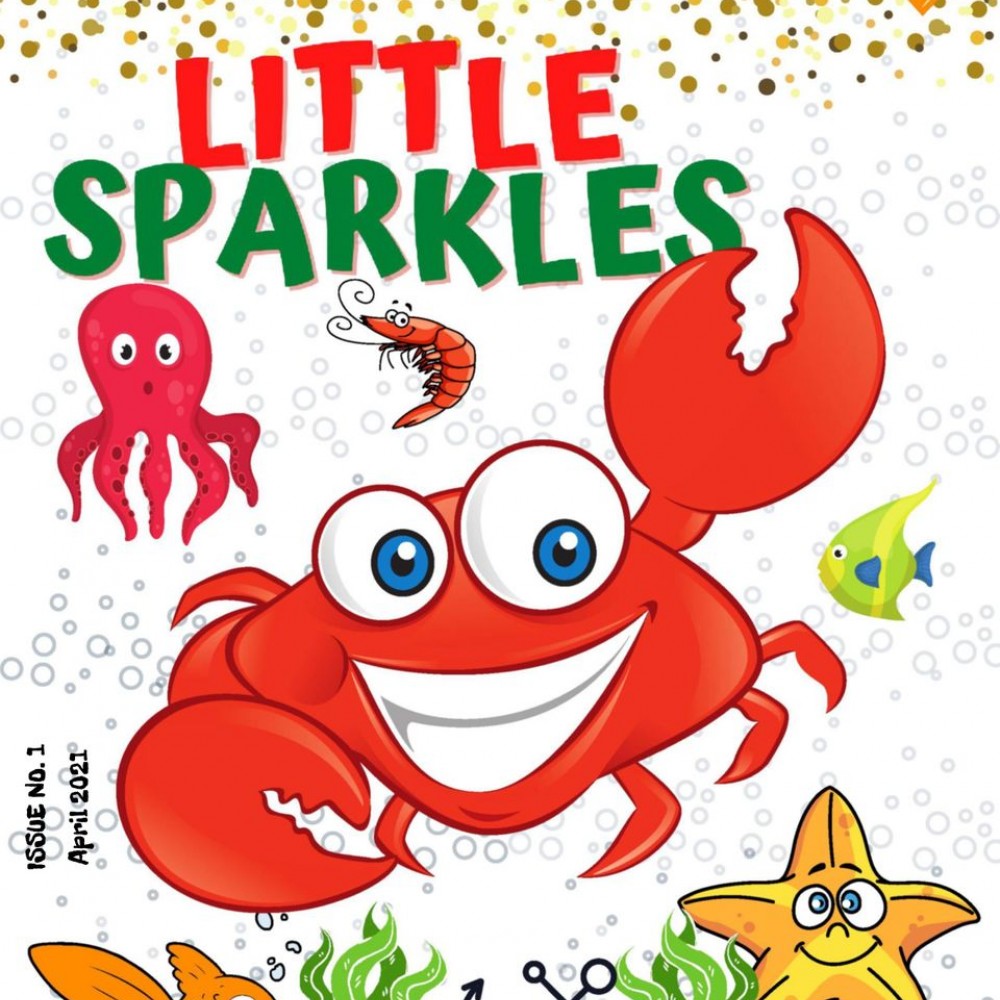 Little Sparkles Kids Magazine Subscriber Services