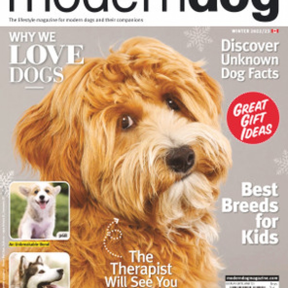 Modern Dog Magazine Subscriber Services