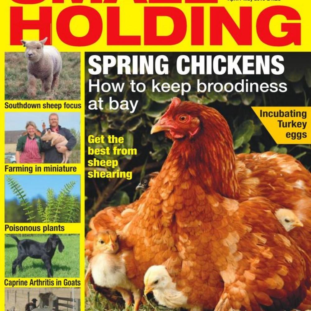 Smallholding (UK) Magazine Subscriber Services
