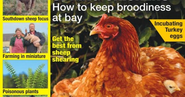 Smallholding (UK) Magazine Subscriber Services