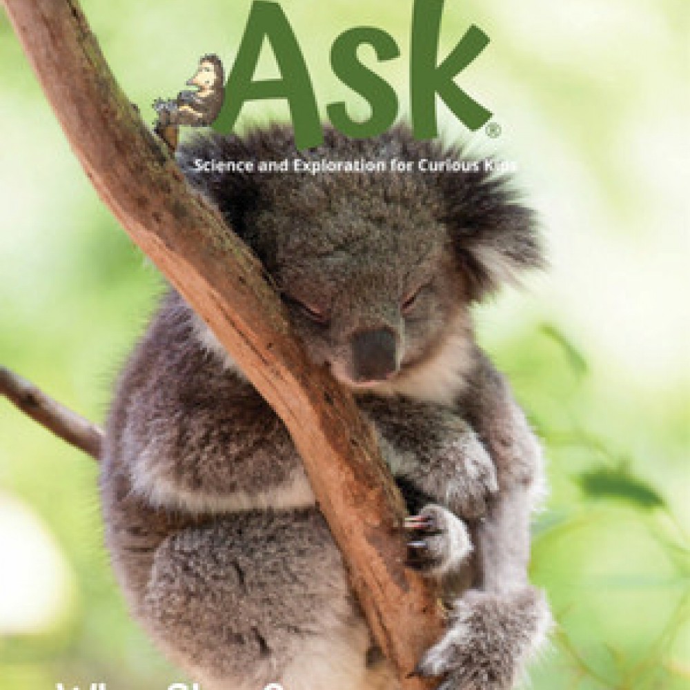 Ask Magazine Subscriber Services