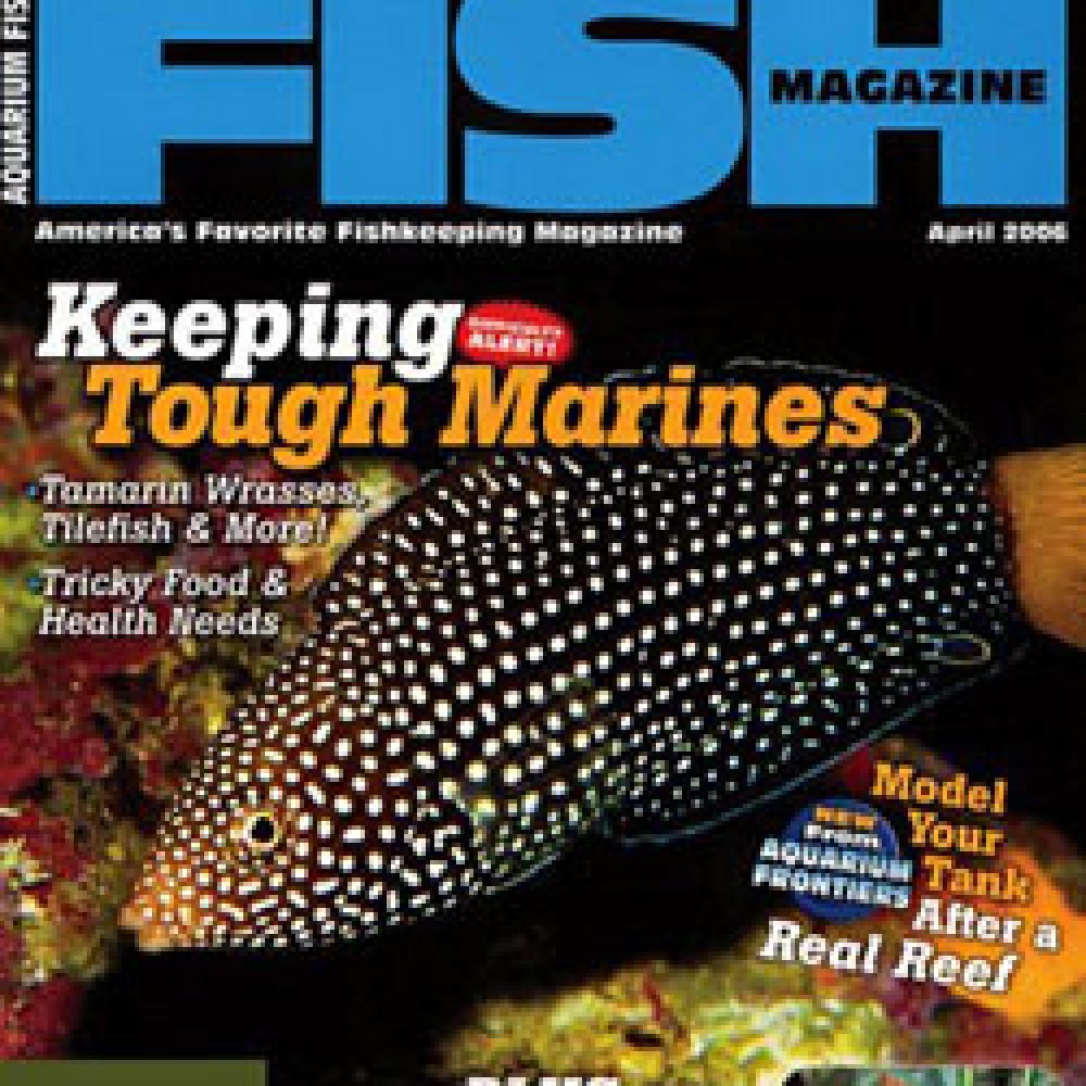 Aquarium Fish Magazine Subscriber Services