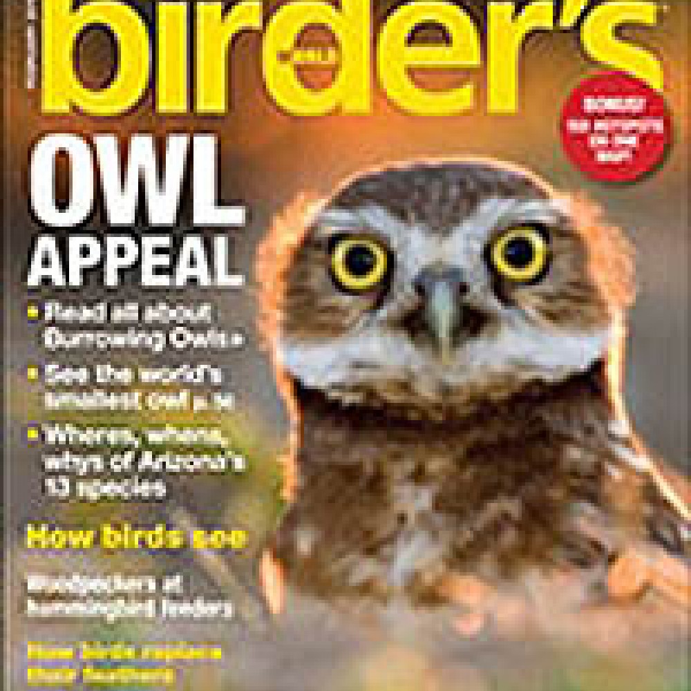 Birders World Magazine Subscriber Services | Renew, Cancel, or Manage ...