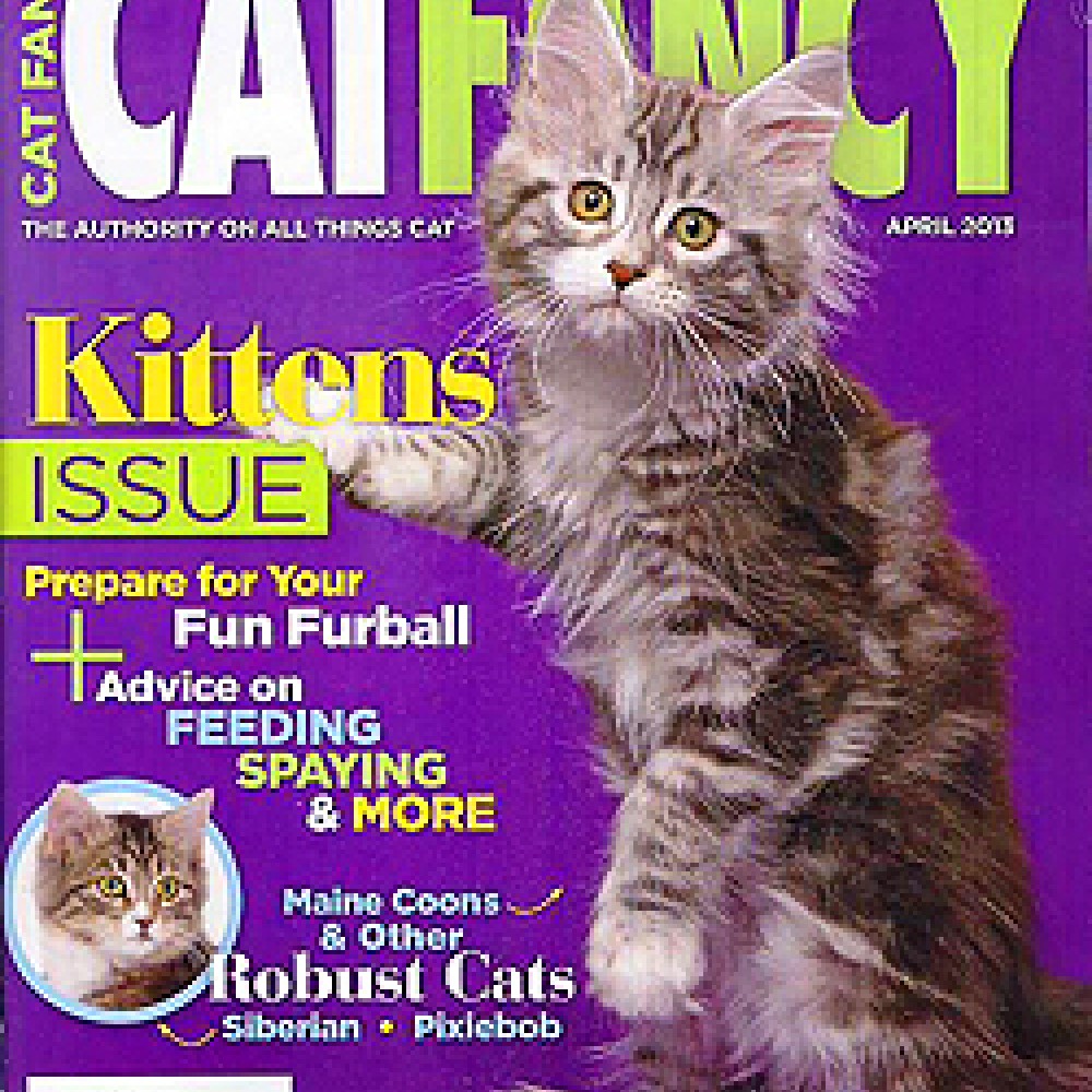 Cat Fancy Magazine Subscriber Services
