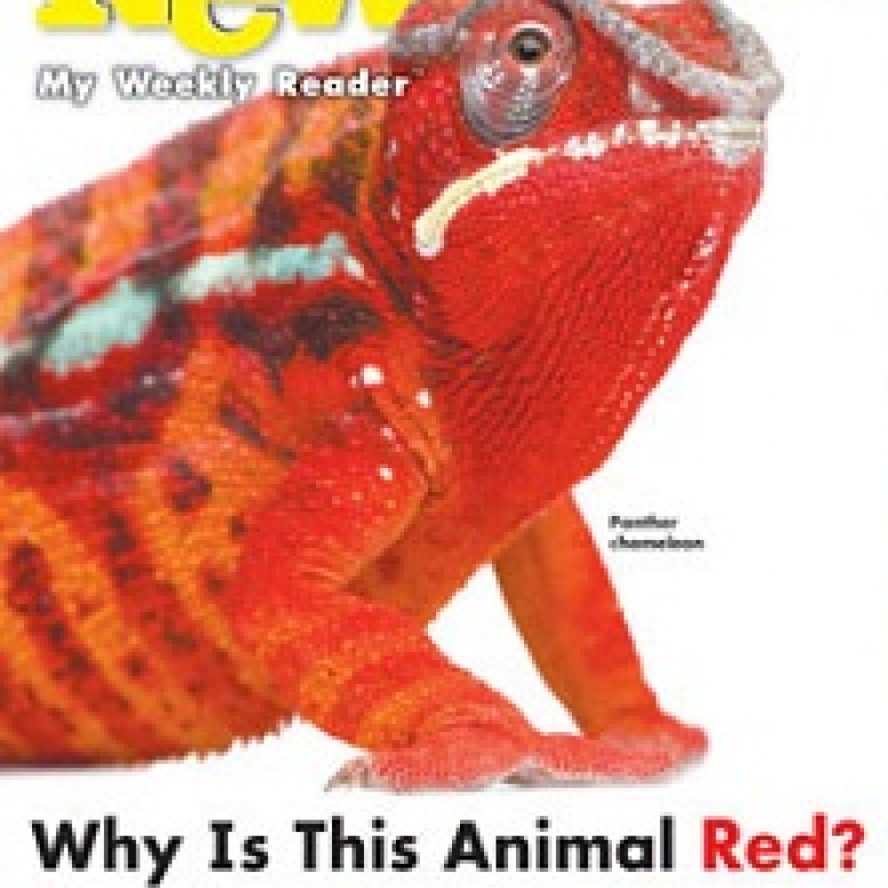 Weekly Reader Edition 1 Magazine Subscriber Services